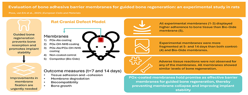 Evaluation of bone adhesive barrier membranes for guided bone ...